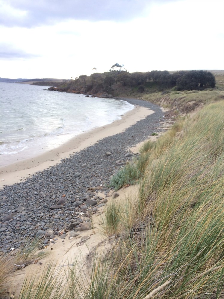 South Arm & Ralphs Bay – Tasmanian Beaches: Exploring the Coast on Foot ...