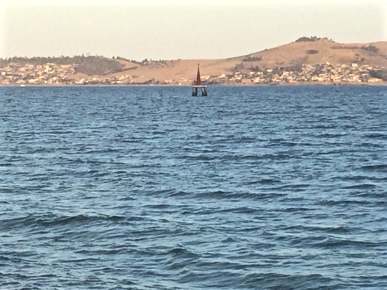 Derwent River: Blinking Billy Point – Tasmanian Beaches: Exploring the ...