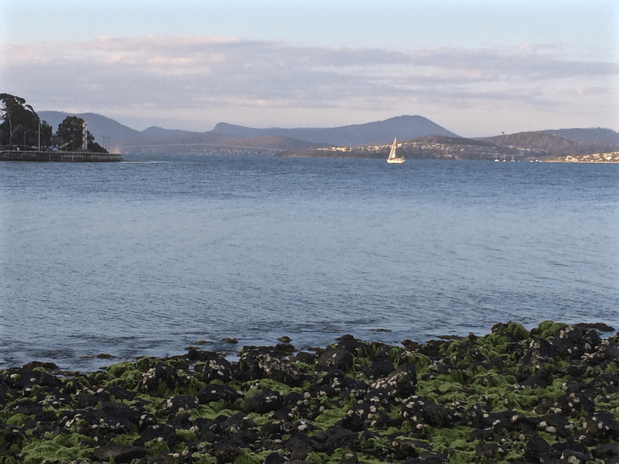 Derwent River: Blinking Billy Point – Tasmanian Beaches: Exploring the ...