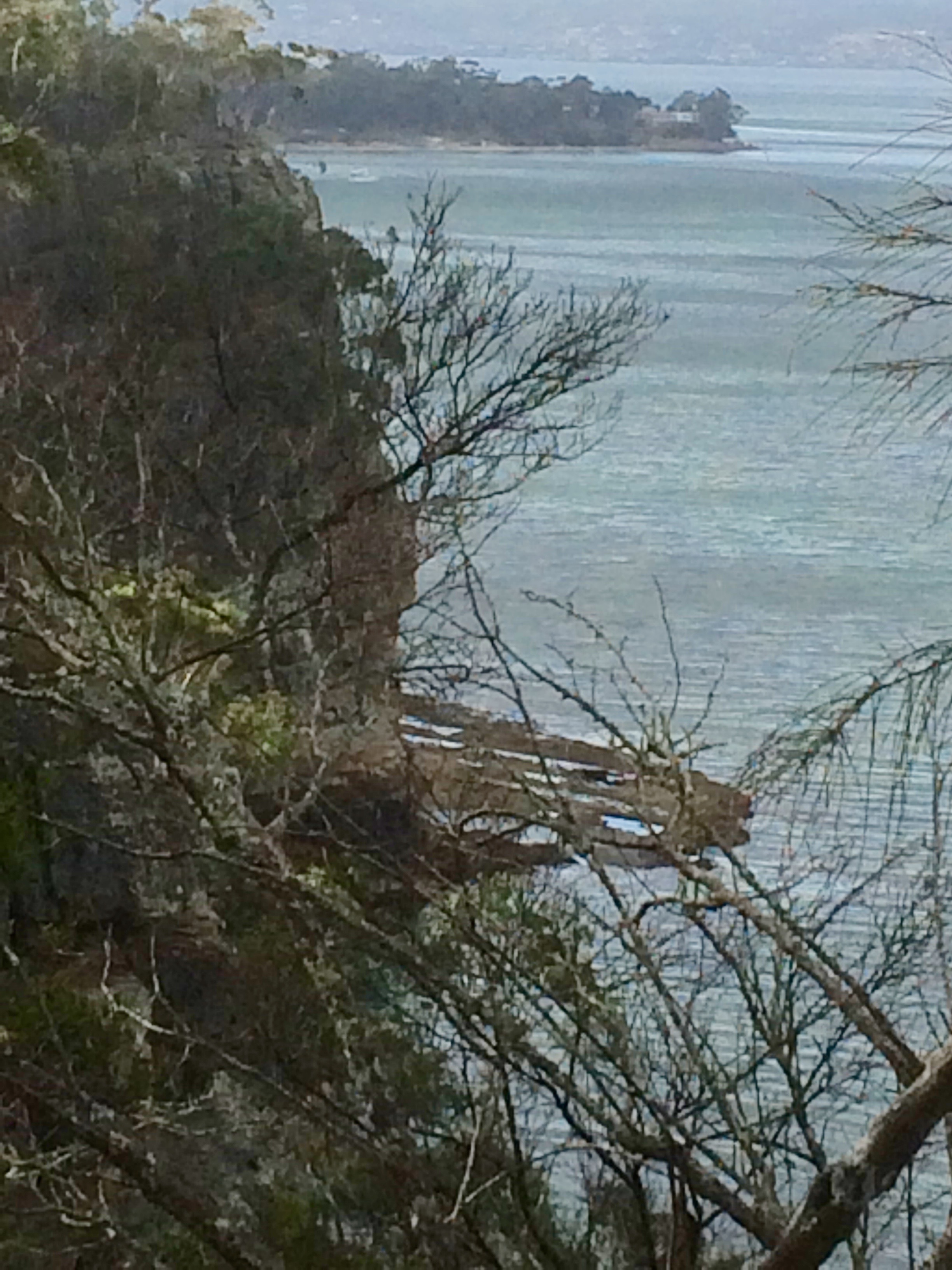 Derwent River: Alum Cliffs – Tasmanian Beaches: Exploring the Coast on ...