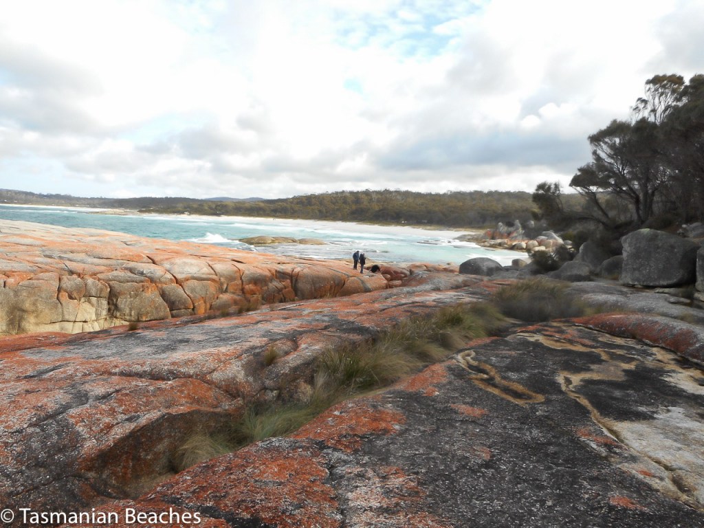 Sloop Reef Cove – Tasmanian Beaches: Exploring the Coast on Foot, by ...