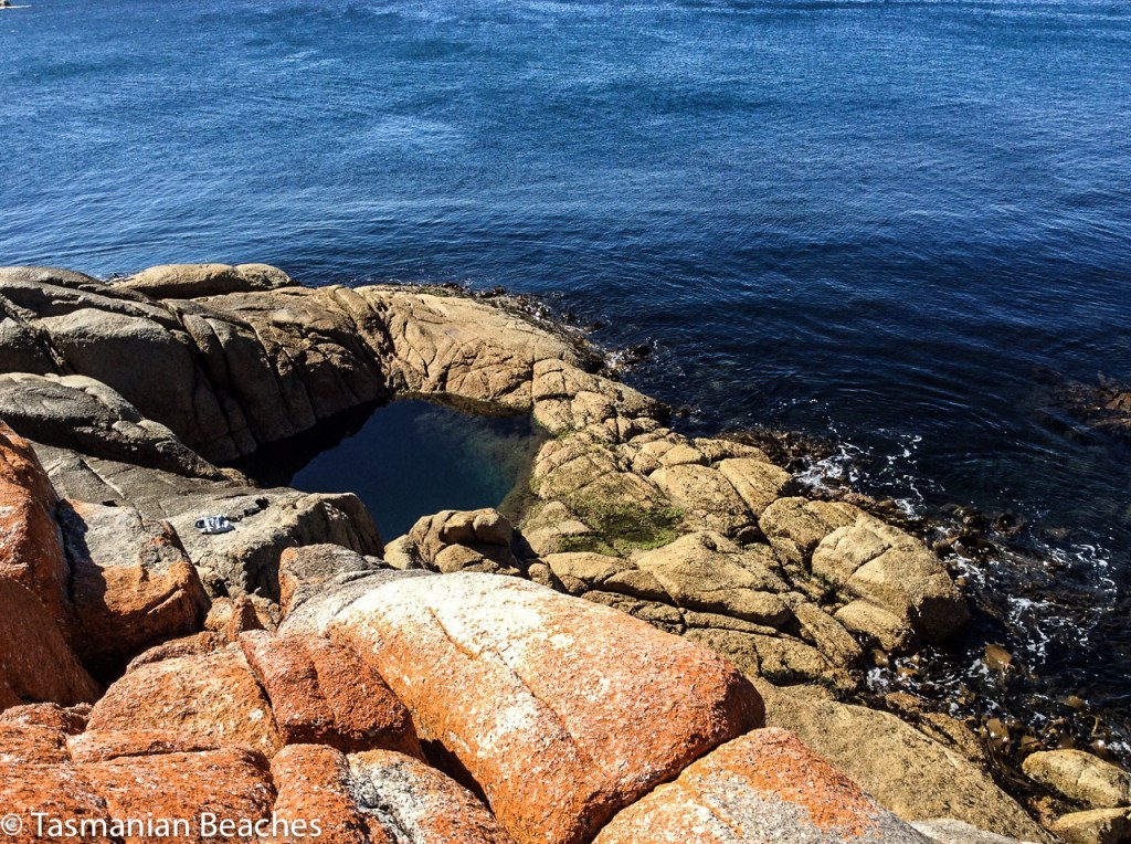 Sloop Reef Cove – Tasmanian Beaches: Exploring the Coast on Foot, by ...
