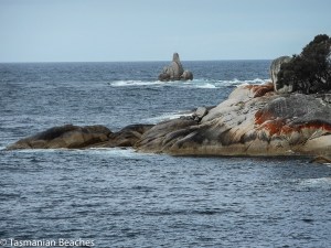 Sloop Reef Cove – Tasmanian Beaches: Exploring the Coast on Foot, by ...