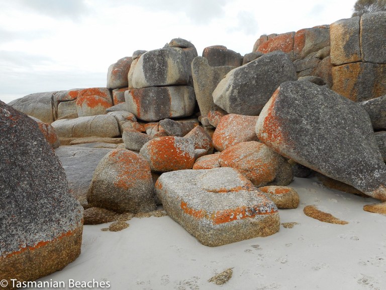 Sloop Reef Cove – Tasmanian Beaches: Exploring the Coast on Foot, by ...