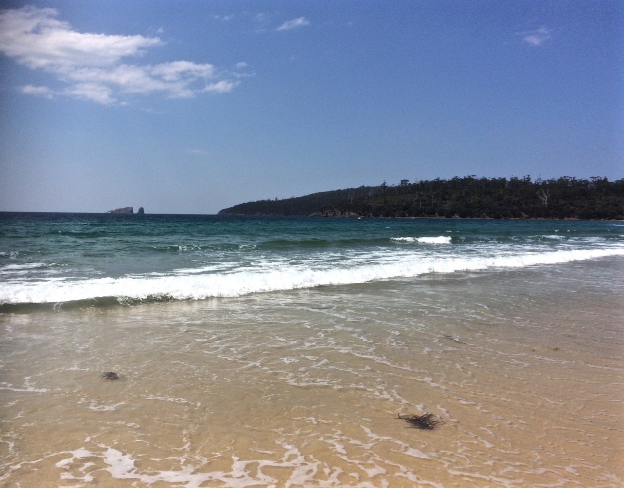 Forestier Peninsula: Lagoon Bay and Two Mile Beach, Bangor – Tasmanian ...