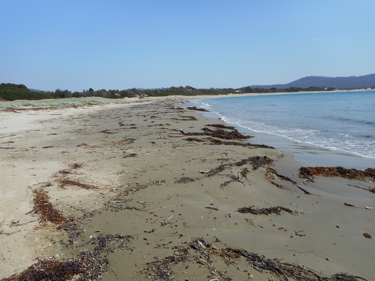 Forestier Peninsula: Lagoon Bay and Two Mile Beach, Bangor – Tasmanian ...