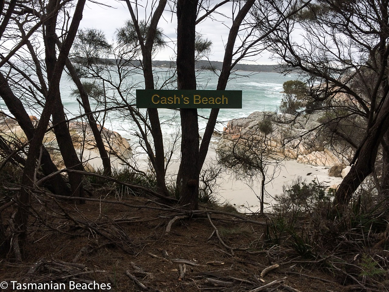 Cash’s Beach – Tasmanian Beaches: Exploring the Coast on Foot, by ...