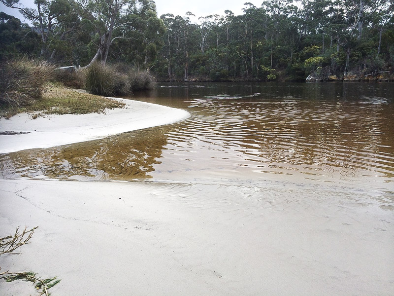 D’Entrecasteaux Channel: North West Bay: Snug Beach and Rivulet by kayak and on foot – Tasmanian ...